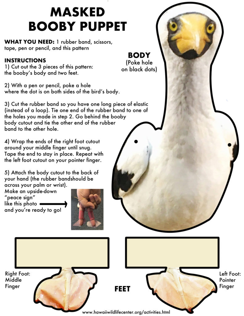 Activities - Hawai‘i Wildlife Center