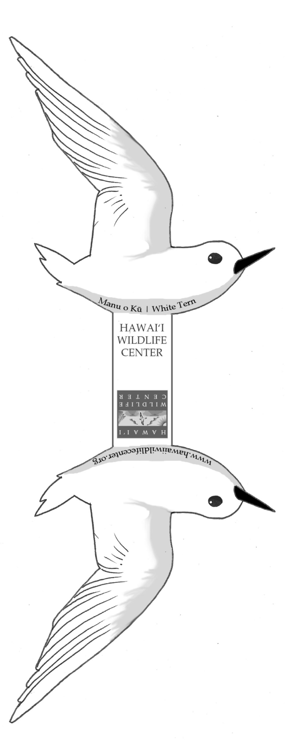 About Our Manu o Kū Program — Hawai‘i Wildlife Center
