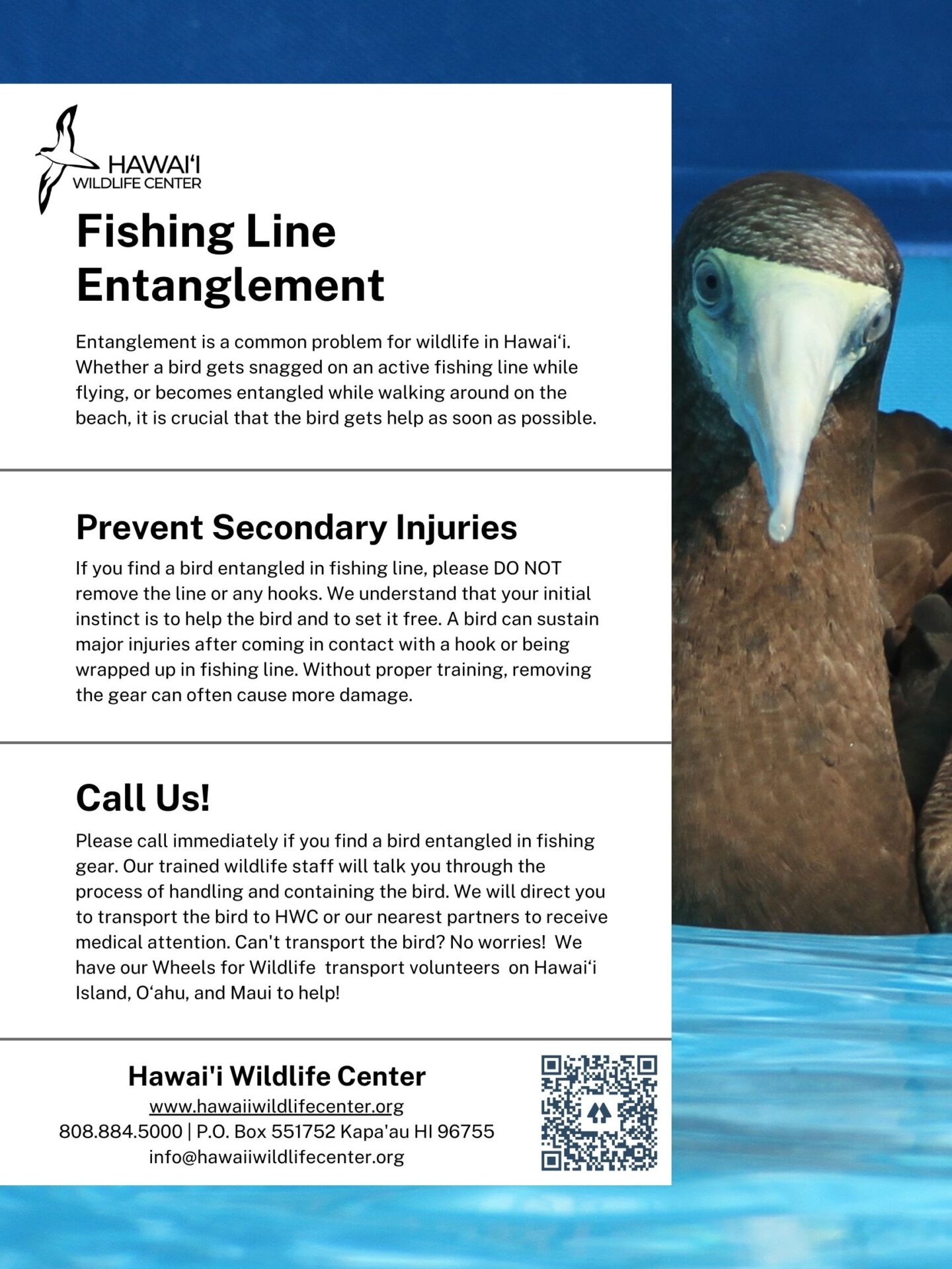 Handout Library - Hawai‘i Wildlife Center