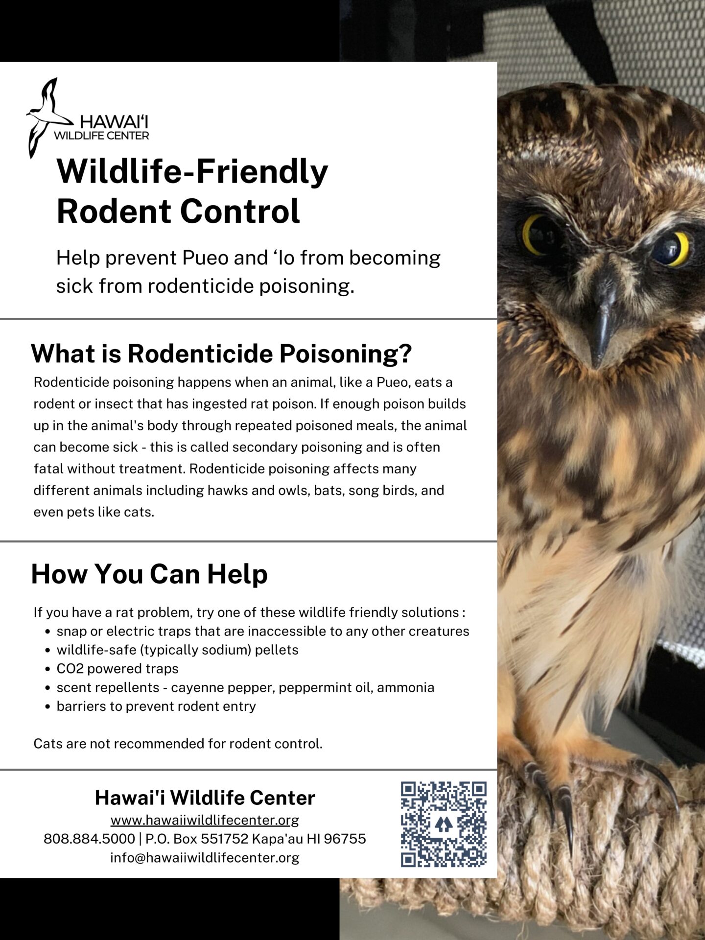 Handout Library - Hawai‘i Wildlife Center